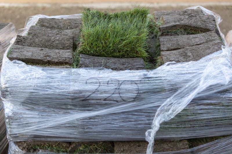 Close Up of Stack of Sod Turf Grass Rolls, Ready for Laying in New Lawn ...