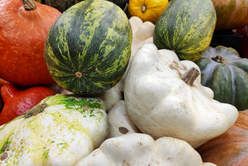 Stack of Various Cucurbits on a Market Stall Stock Photo - Image of ...