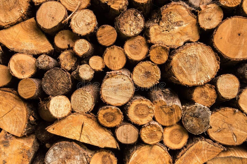 Close Up. Stack of Wood Stock. Timber Stack, Wood Pile. Background ...