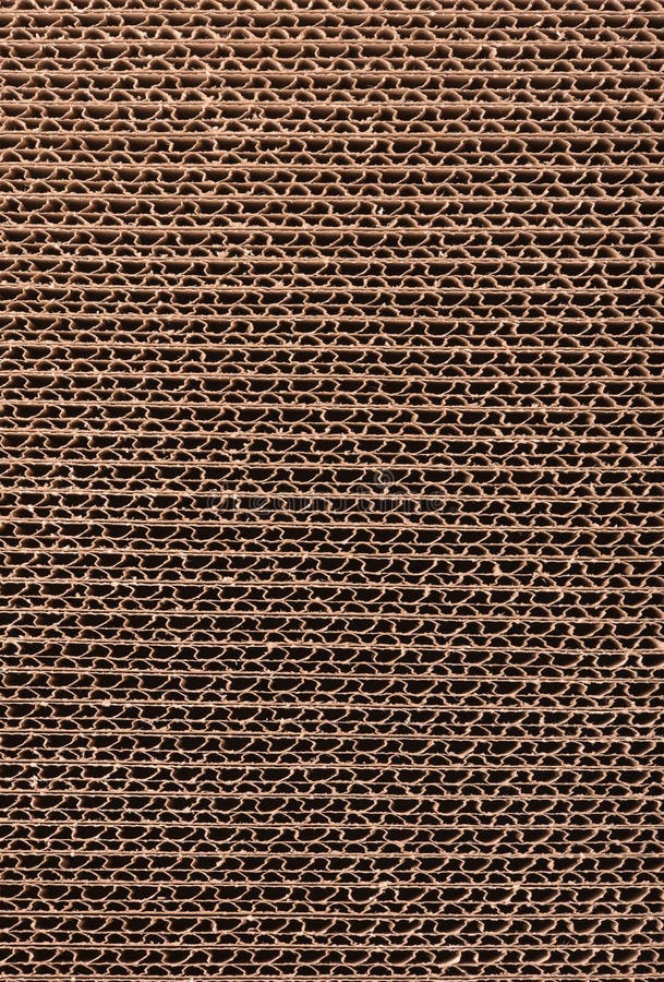 Cardboard Side Texture
