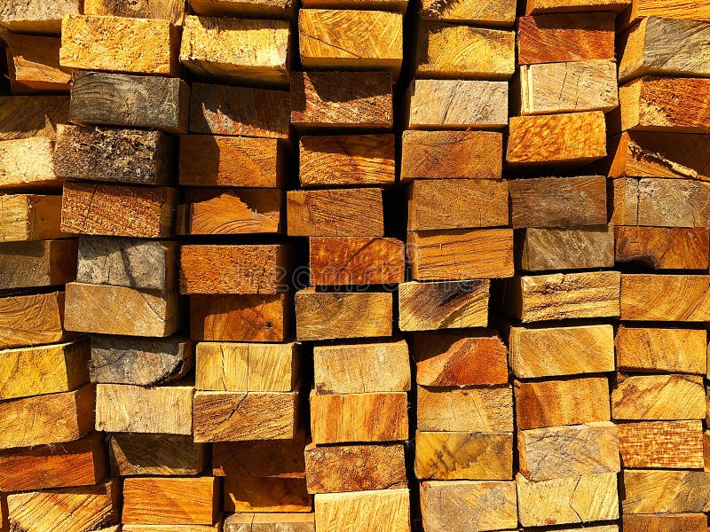 Timber Stacked Outdoor stock image. Image of forestry - 20508103