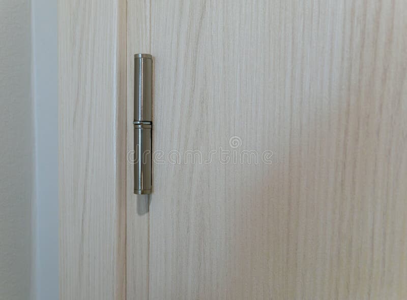 Close-up of a Stainless Steel Door Hinge on a Light Door Stock Photo ...
