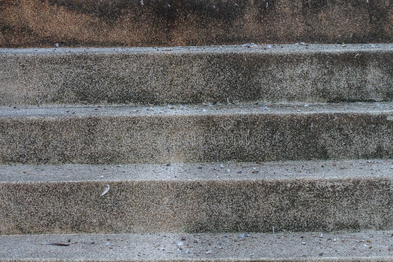 Stairs with Red Brick Walls Stock Photo - Image of green, soil: 316724350