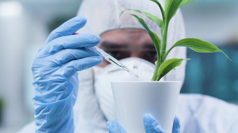 Close Up Static Shot of Biochemist at His Workplace Making Test on ...