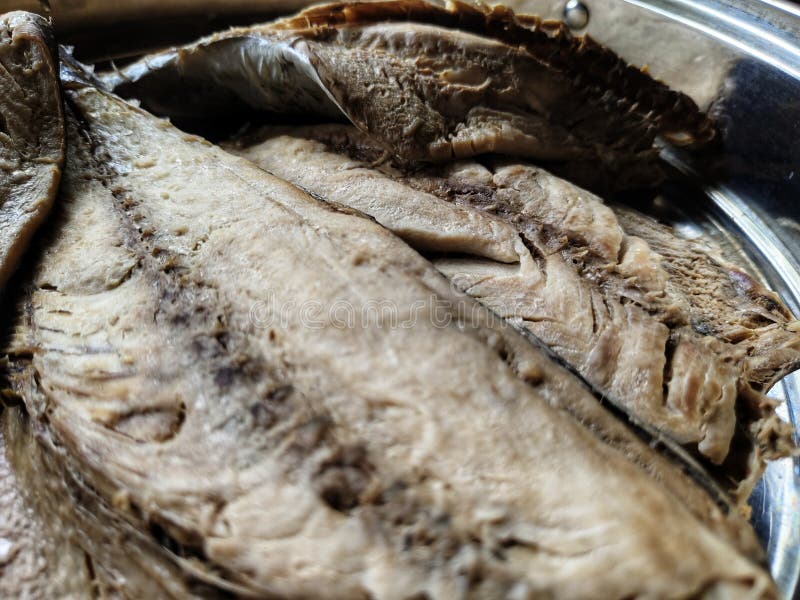 Close-Up of Steamed Fish Fillet in a Culinary Setting Stock Image ...