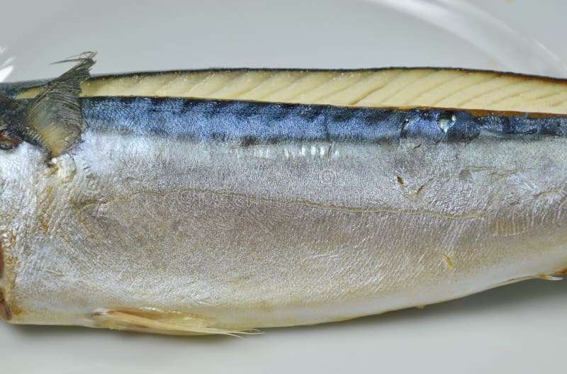 Close Up of Steamed Saba Fish Skin on Dish Stock Image - Image of ...