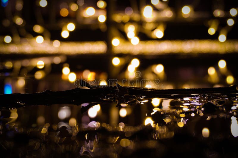 Close-up of Stick in a Puddle at Christmas Decorations Stock Image ...