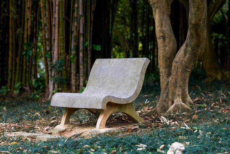 Close-up of a Stone Bench in a Forest Park Stock Image - Image of bench ...