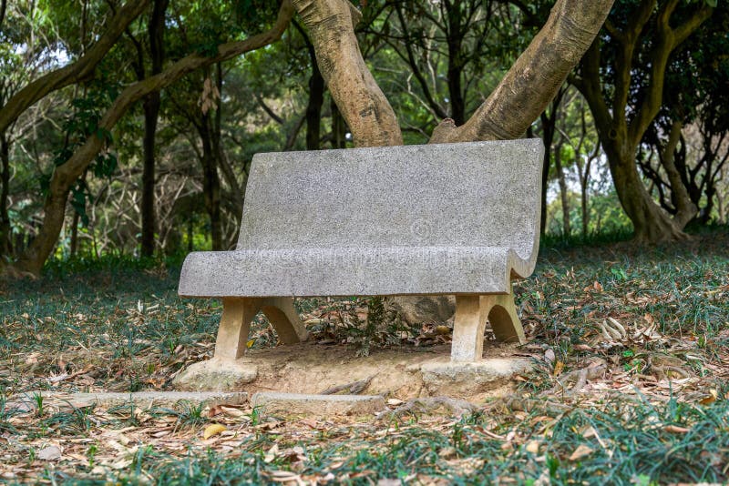 Close-up of a Stone Bench in a Forest Park Stock Image - Image of ...