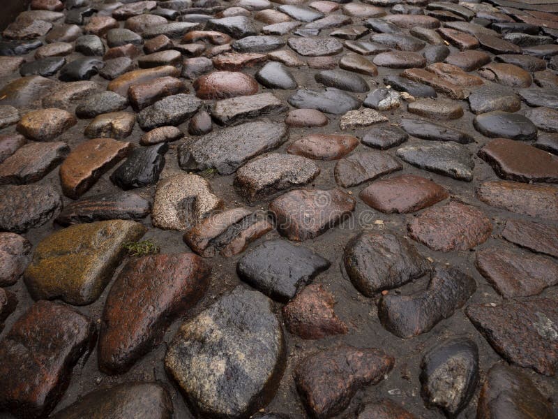 Close Up of a Stone Cobblestone Pavement Wet after Rain Stock Photo ...