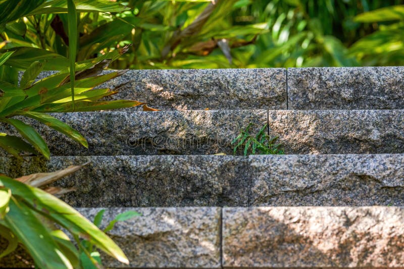 Close-up of Stone Steps in the Park Stock Photo - Image of soil, shrub ...