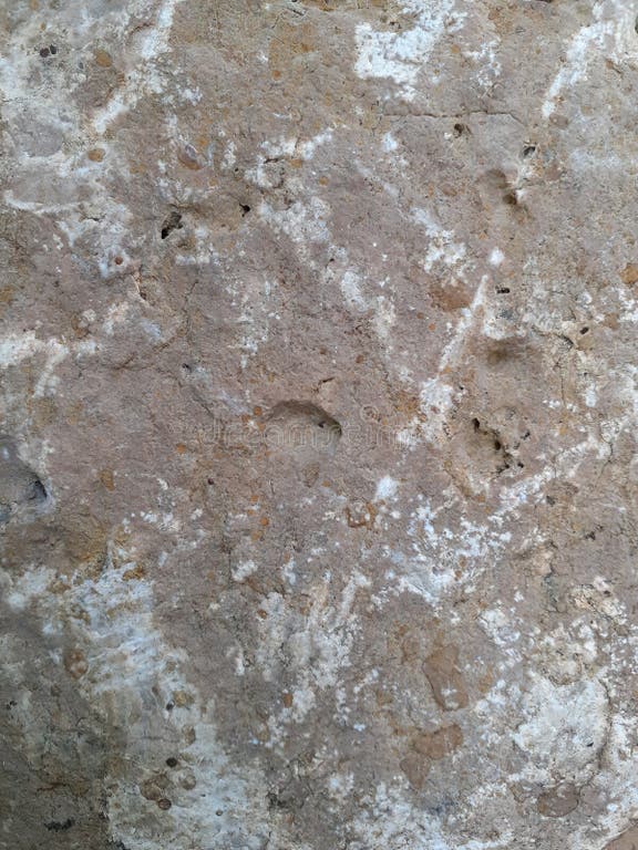 Close-Up Stone Texture Backdrop Stock Image - Image of backdrop ...