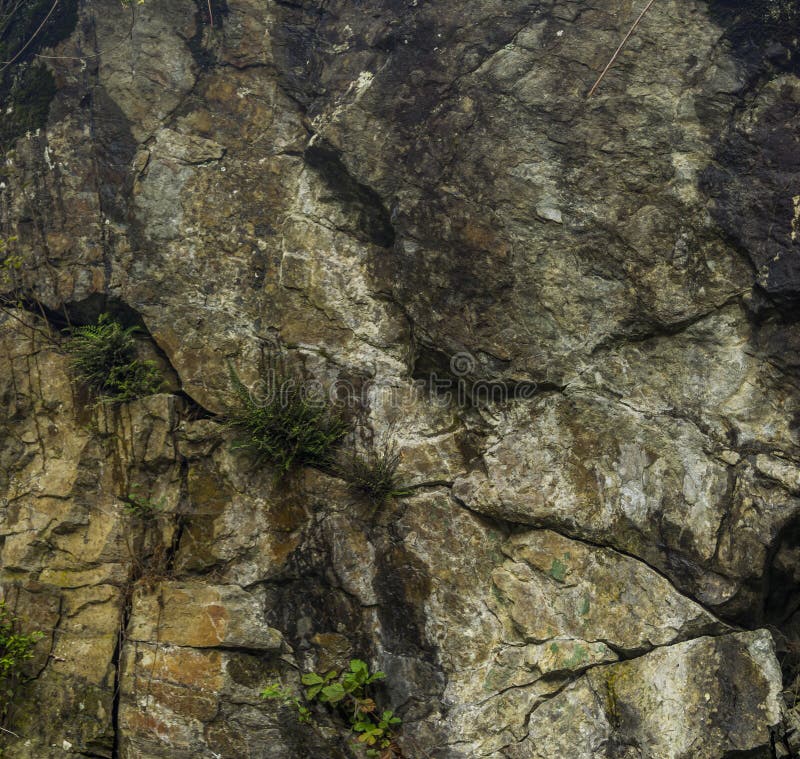 Close-up of a Stone Texture Stock Image - Image of pattern, granite ...