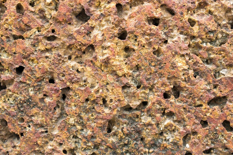 Texture on Red Laterite Stone Wall Stock Photo - Image of india, state ...