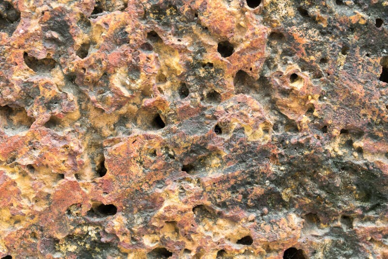112 Texture Laterite Stone Tile Stock Photos - Free & Royalty-Free ...