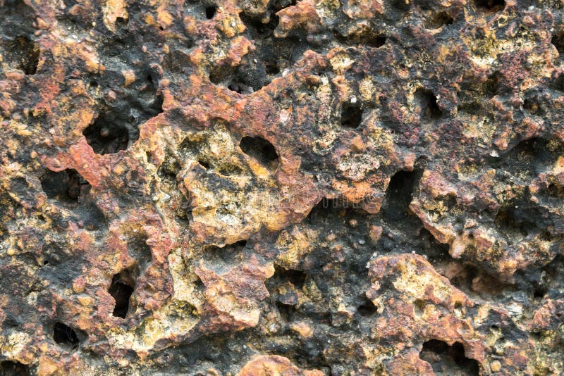 112 Texture Laterite Stone Tile Stock Photos - Free & Royalty-Free ...