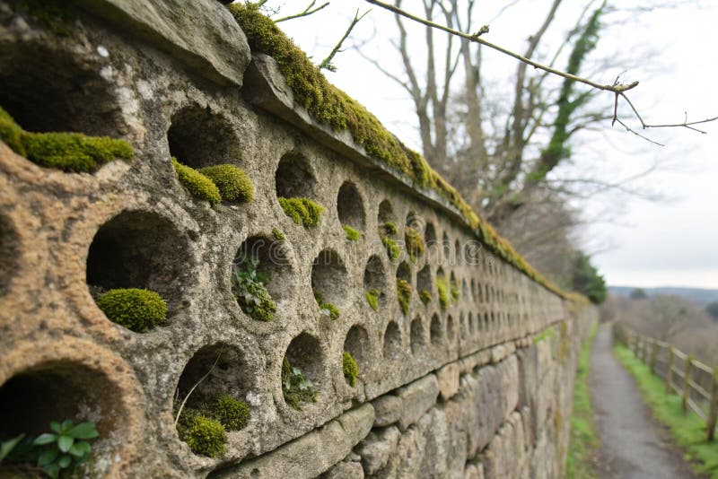 Close-Up of a Stone Wall with Lichen and Natural Pits, Organic Pattern ...