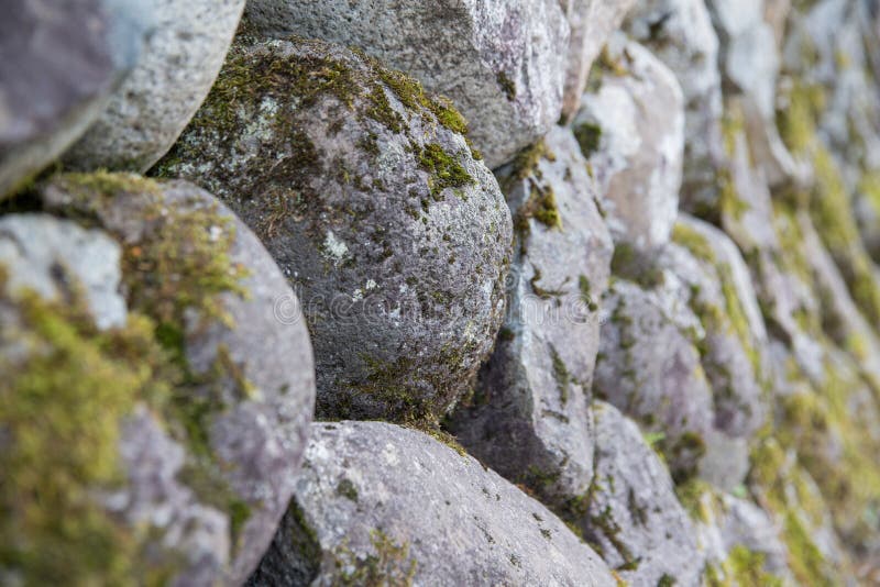 Close-up Stone and Mos in the Forest from Side View. Stock Photo ...