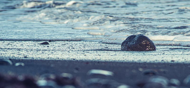 Close-up of Stones on the Beach Lapped by Water Stock Image - Image of ...
