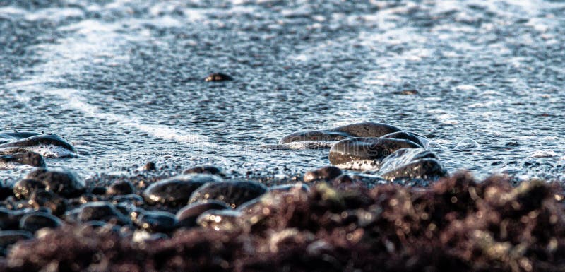 Close-up of Stones on the Beach Lapped by Water Stock Photo - Image of ...