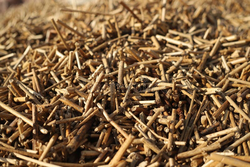 Close Up of Straw Background Texture. Countryside Background Stock ...