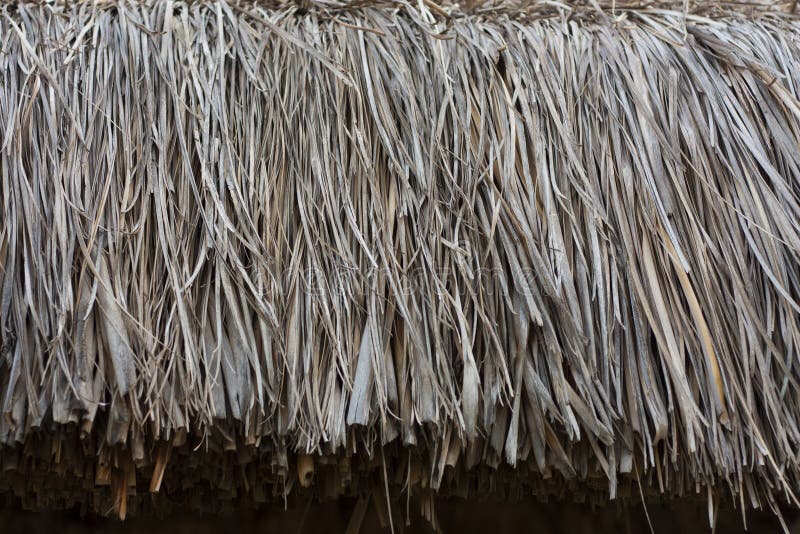 Straw Hey Background Texture, Wooden Floor Plank Table Empty on Dry ...