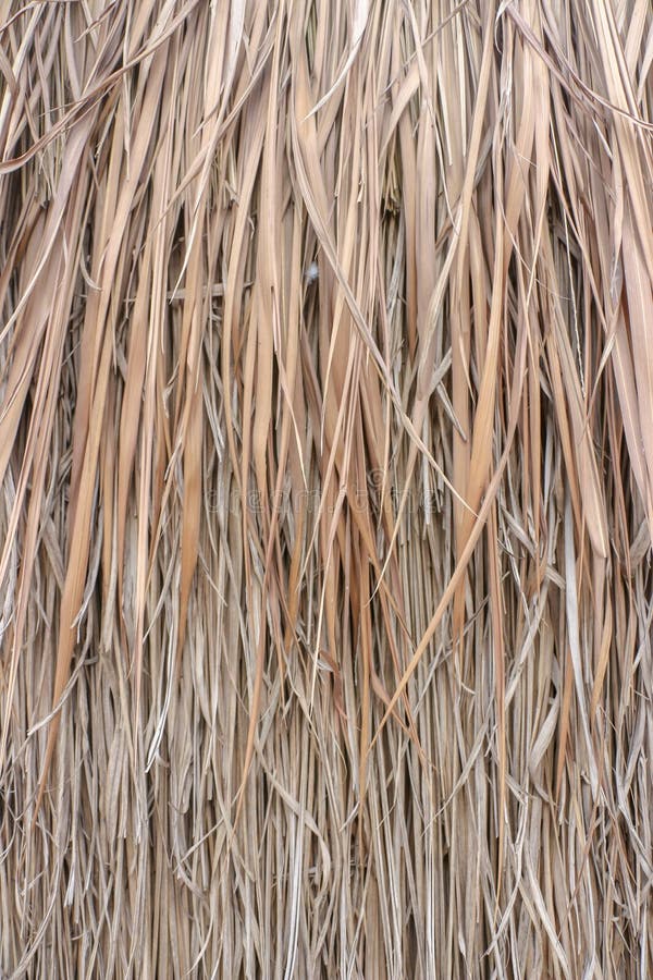 Close Up Straw Background. Texture of Straw Stock Image - Image of feed ...