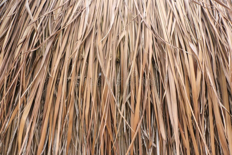 Close Up Straw Background. Texture of Straw Stock Photo - Image of ...