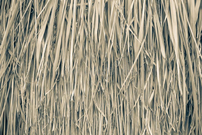 Close Up Straw Background. Texture of Straw Stock Image - Image of ...