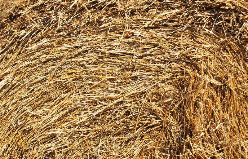Haystack Texture Background Stock Photo - Image of summer, background ...