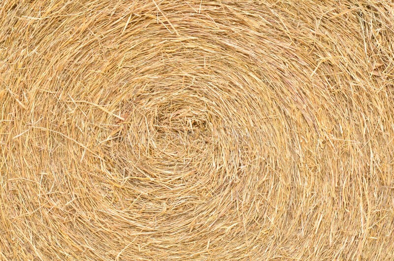 Burlap texture stock photo. Image of abstract, grunge - 24025678