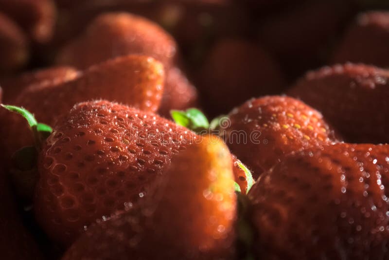 Close-Up of Strawberries with Dramatic Lighting Stock Image - Image of ...