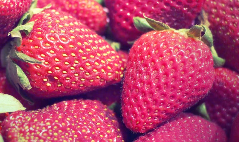 Close Up Strawberries with Retro Color Scheme Stock Photo - Image of ...