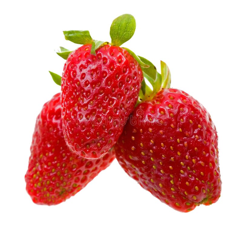 Close-up Strawberry Isolated on White Stock Image - Image of food ...