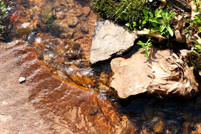 Close Up Of Stream Picture. Image: 106074