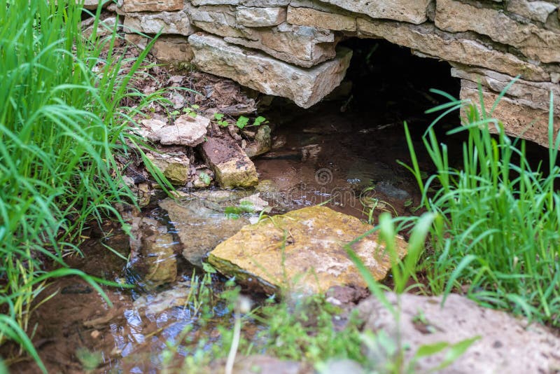 Source of Spring Water Bottle Filling Holding Hand Stock Image - Image ...