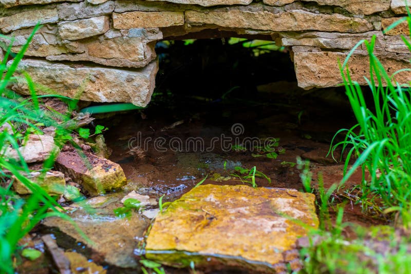 Close - Up of a Stream of Clean Water in the Grass from an Underground ...