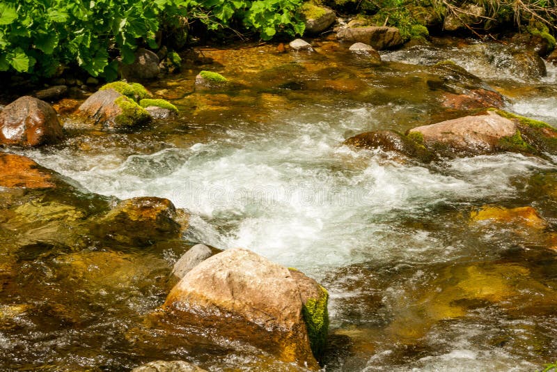 Close-up of a Stream with Clean Water and Green Stone Stock Photo ...
