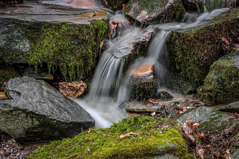 A Close Up of a Stream Running through the Forest on Rocks Stock Photo ...