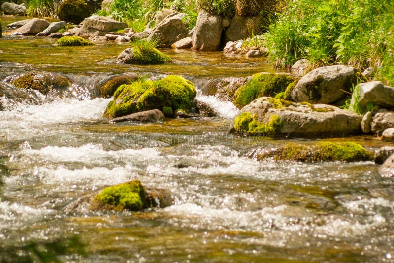 Close-up Streams of Water between Mountain Stones. Beautiful Mountain ... Close-up Streams of Water between Mountain Stones. Beautiful Mountain ...