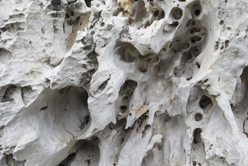 Close Up of the Structure of a Limestone Rock in the Sea Stock Photo ...
