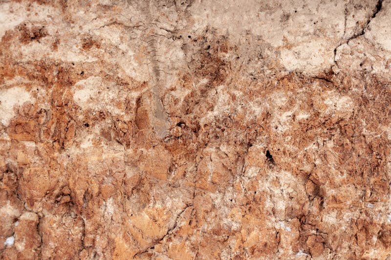 Close-up of the Structure of the Soil Layer in the Section. Stock Photo ...