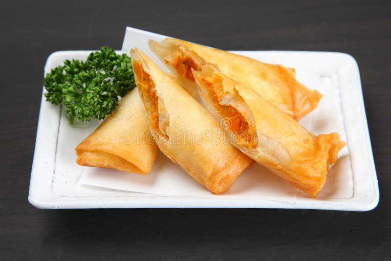 Close Up Studio Shot of Cheese in Spring Roll Stock Image - Image of ...