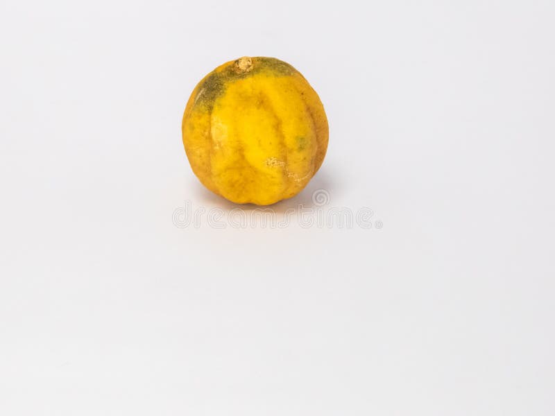 Close Up Shot of a Single Yellow Fruit on a Plain White Background ...