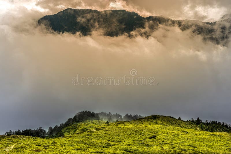 Close-up of Stunning Cloudscape. Stock Image - Image of bird, nature ...