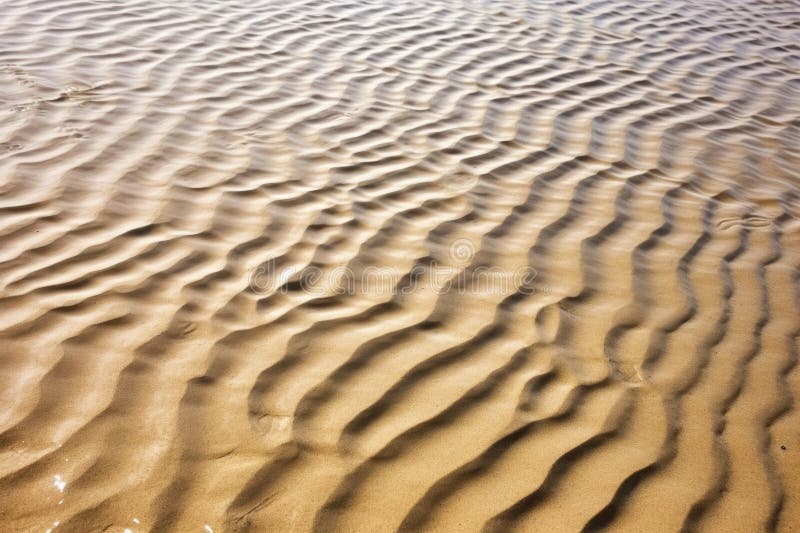 Close-up of the Surface of a Desert Pond with Tiny Ripples Stock Photo ...