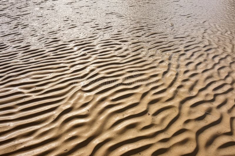 Close-up of the Surface of a Desert Pond with Tiny Ripples Stock Image ...