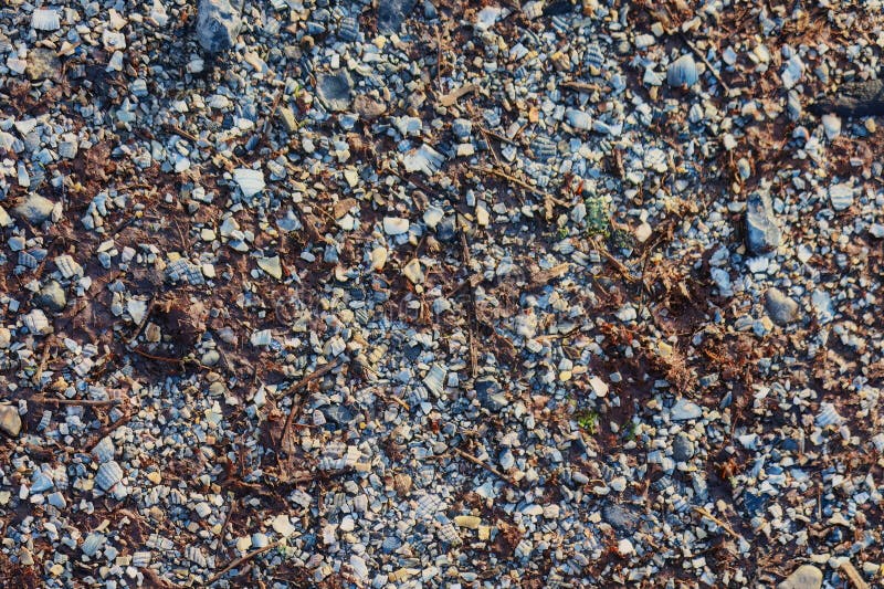 Crushed Shell Sidewalk stock photo. Image of sand, ocean - 29940582