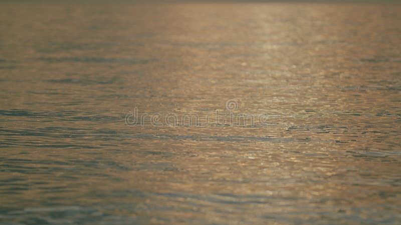 Surface with Light Reflection and Water Ripple Patterns. Running Ripple ...