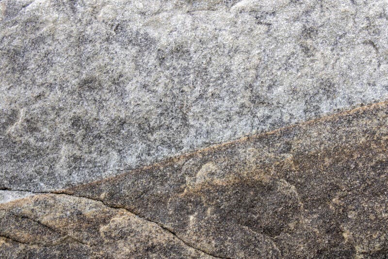 Close-up of the Surface of Marine Rocks at Low Tide Stock Image - Image ...